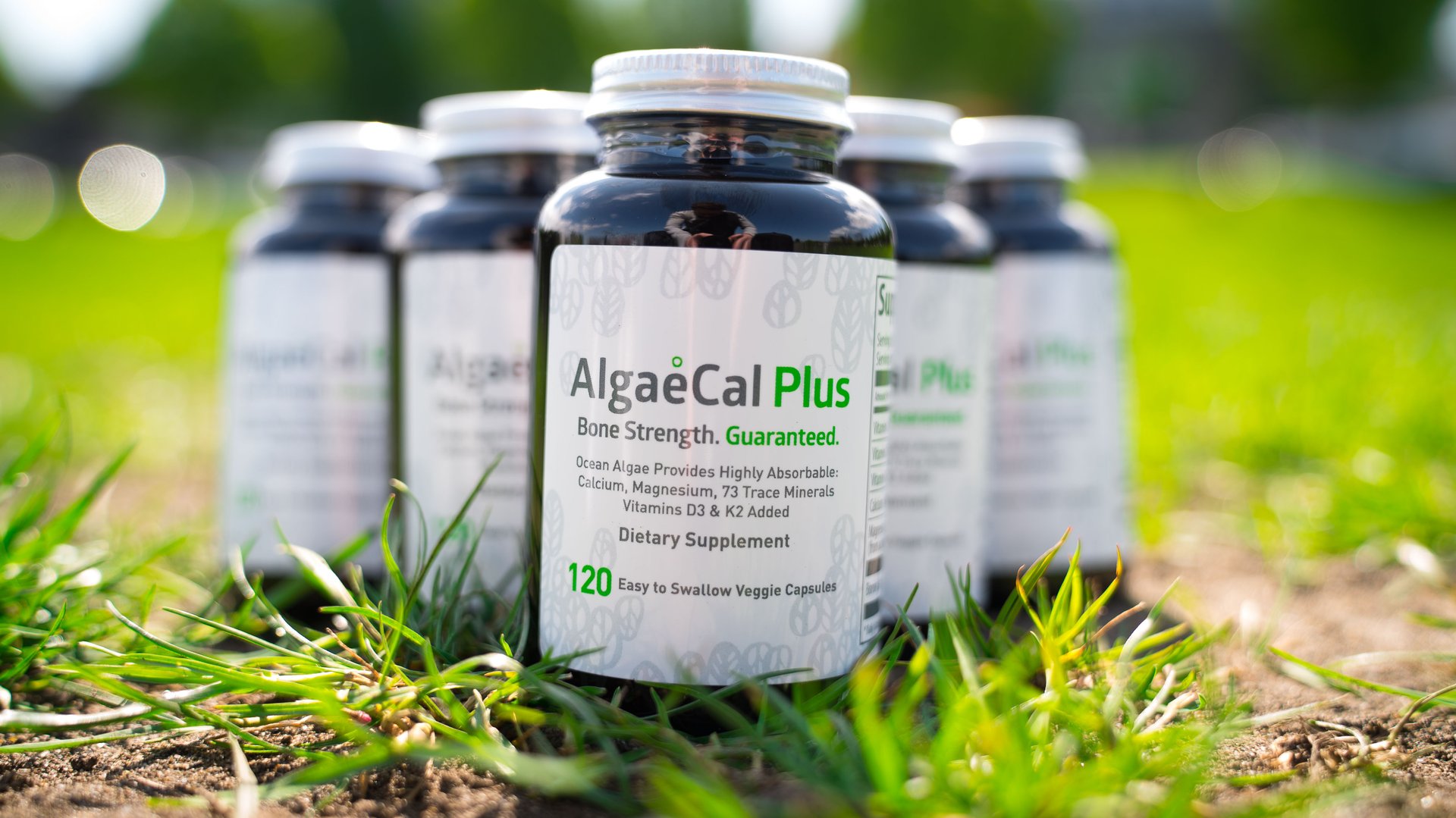 Calcium Absorption – What Really Matters?