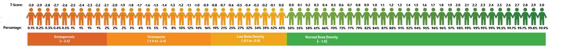 DEXA Scan: Everything You Need (& Want) to Know