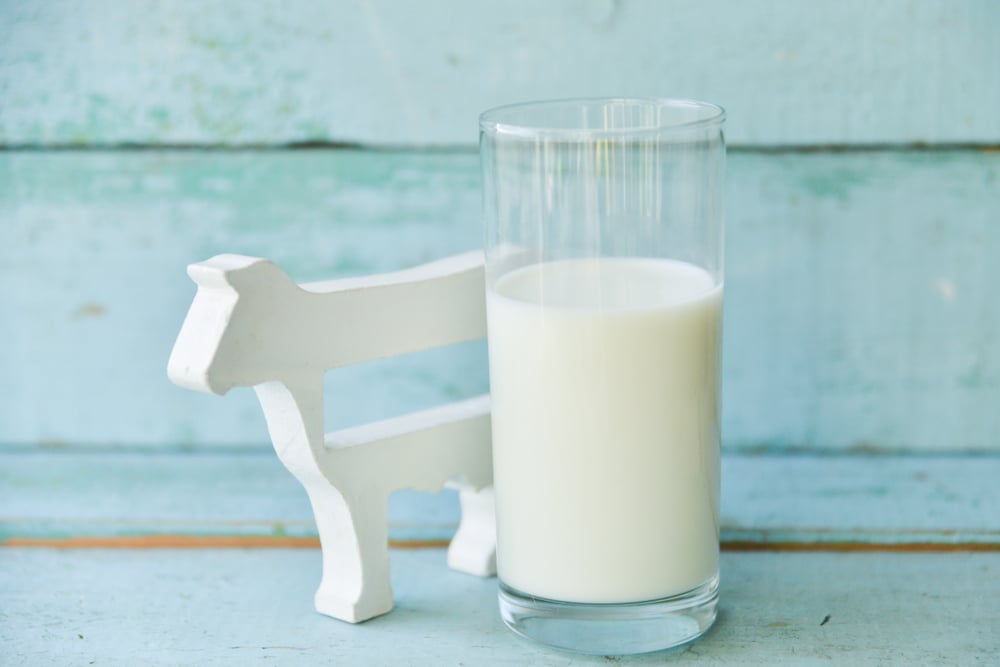 How much calcium is in milk? The most popular milk types compared!